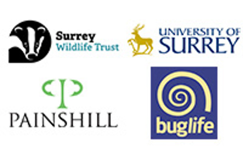 Funded charities | Postcode Community Trust | Live