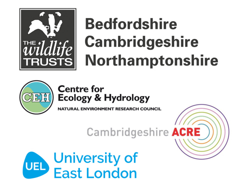 Funded charities | Postcode Community Trust | Live